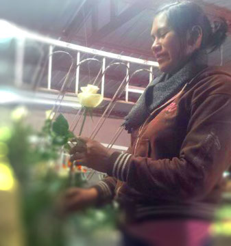 The Farm - The Rose Solution