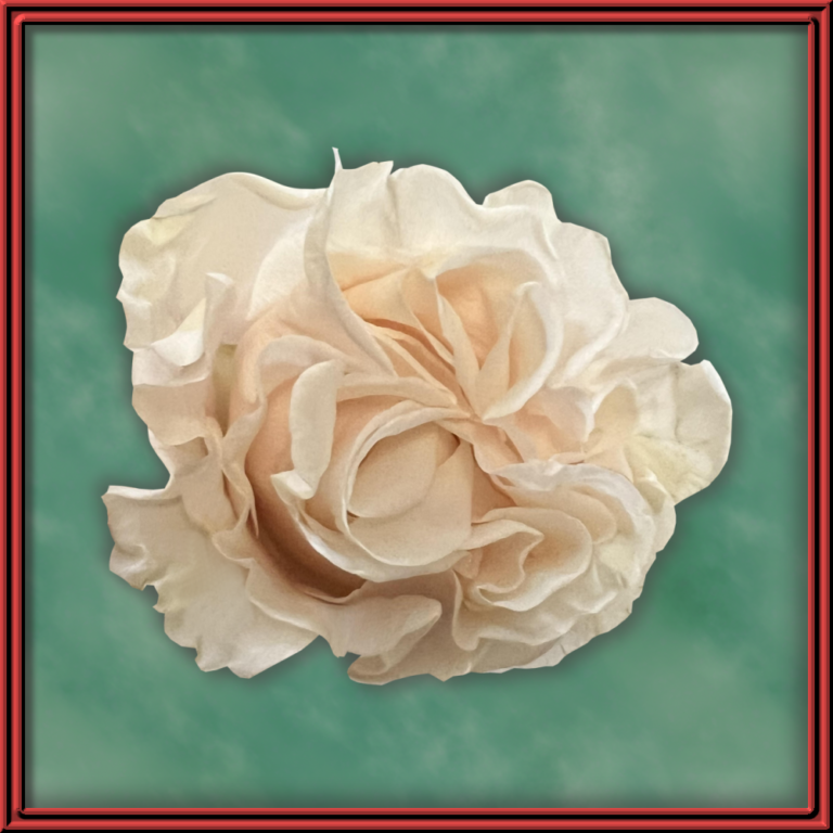 Cotton X-pression - The Rose Solution